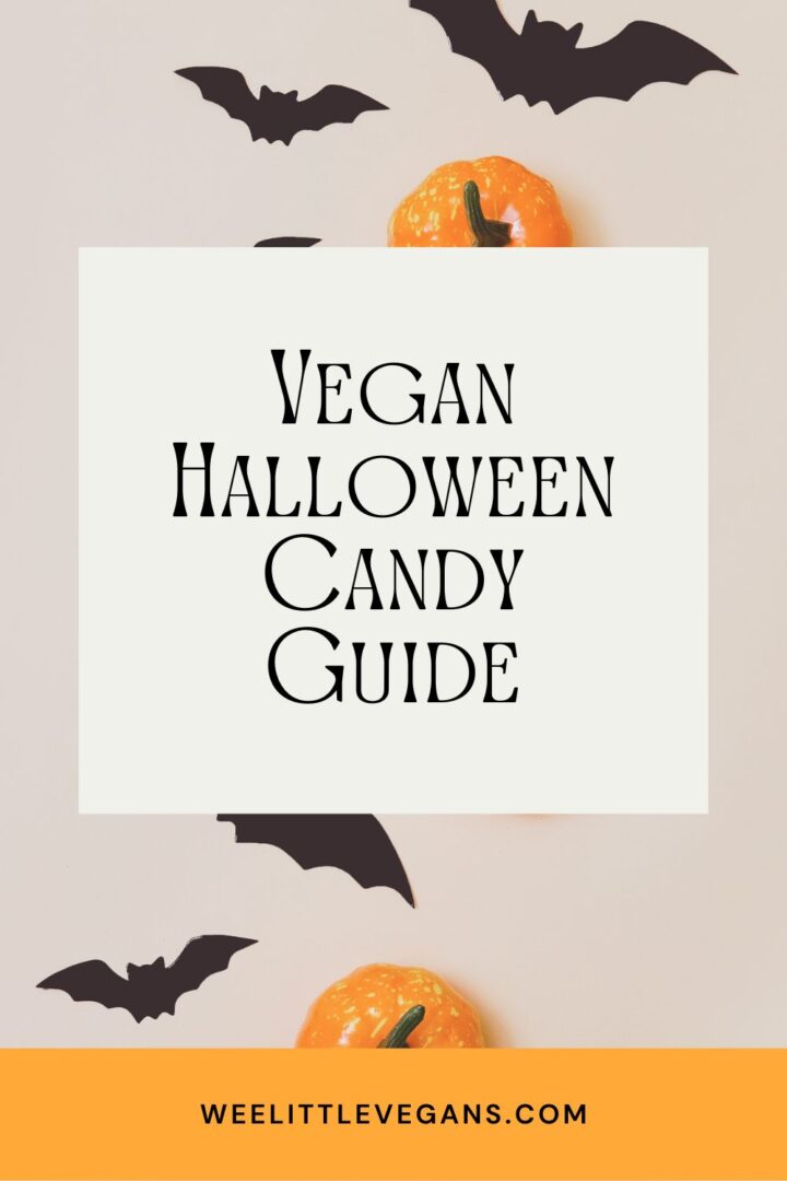 Vegan Halloween Candy Guide – Wee Little Vegans