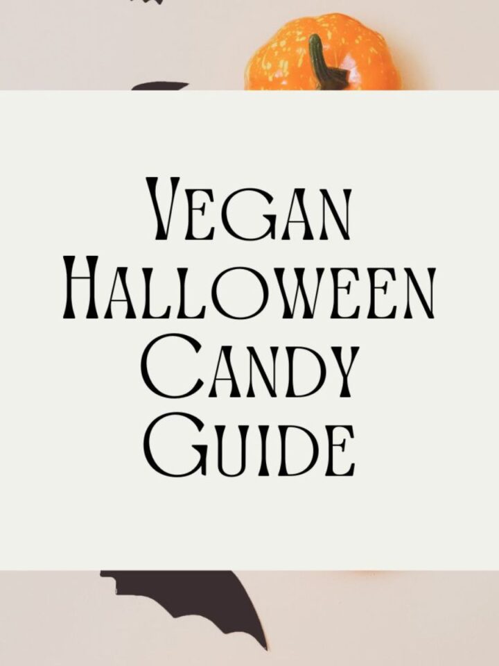 Vegan Halloween Candy Guide – Wee Little Vegans